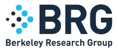 BRG logo edit – Institute of Operational Risk